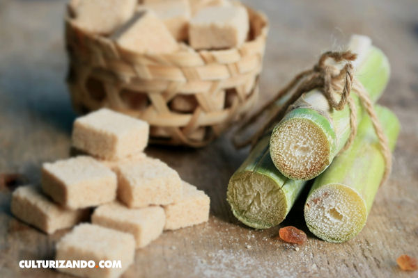 ¿Conoces el interesante origen del azúcar? – culturizando.com ...