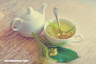 10 beneficios y propiedades del tilo para la salud – culturizando.com ...