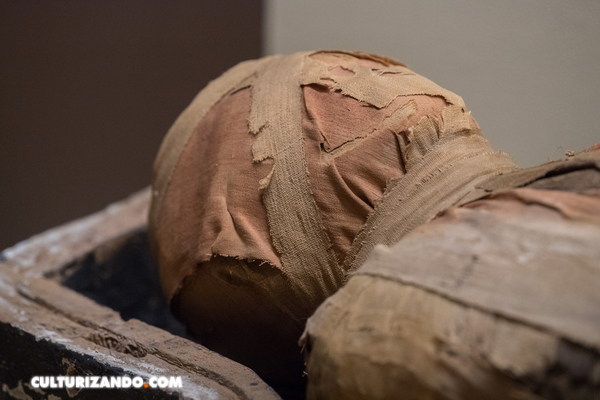 Hallan la momia de una joven del Antiguo Egipto que vivió hace 3.600 ...