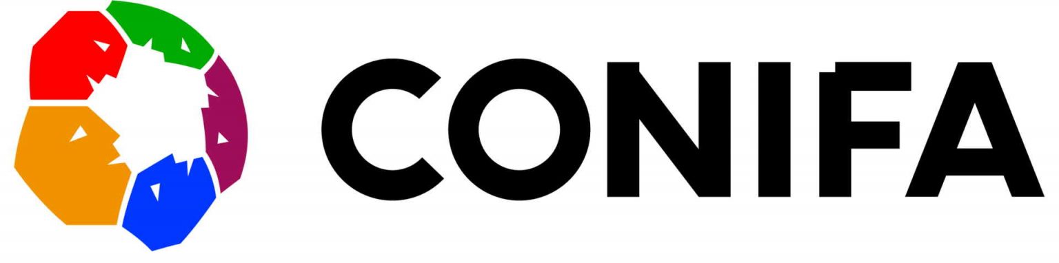 Copa ConIFA: la interesante copa de fútbol alternativa a la FIFA