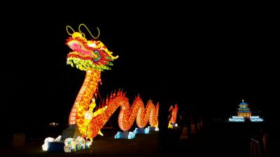 Los dragones: Descubre el origen de esta figura mitológica ...